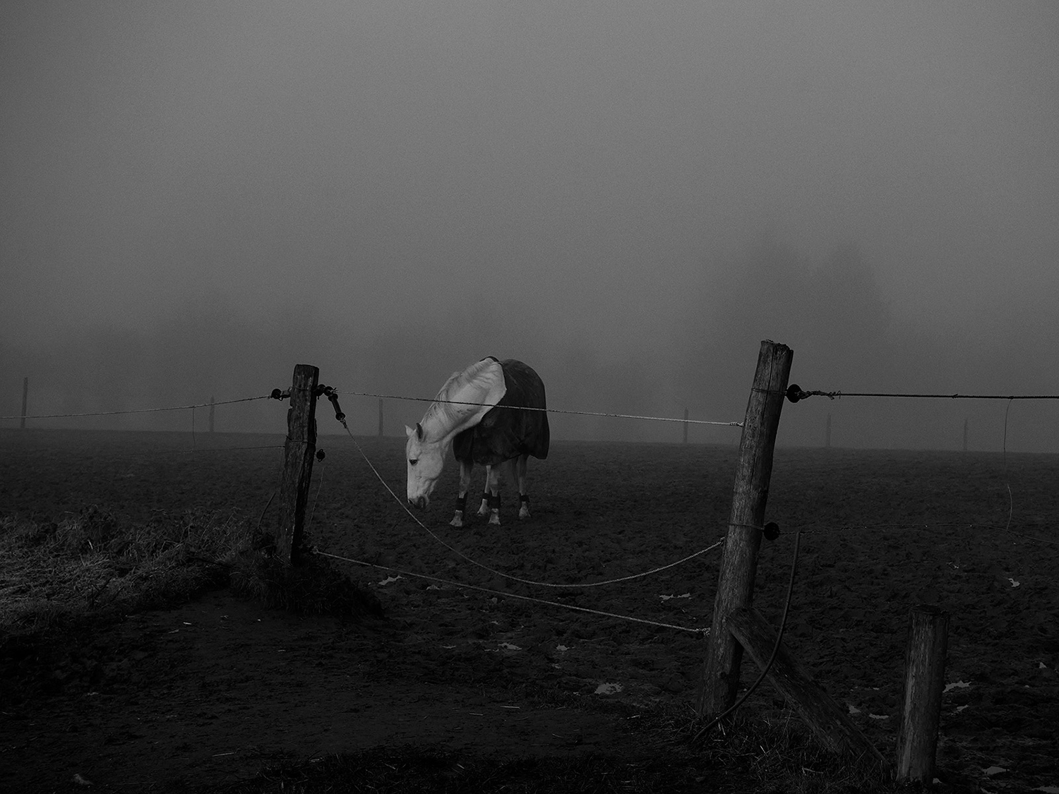 Kaptive — Night Walk